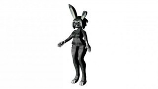 南希兔 免费的3D模型 - .obj .c4d .stl - Free3D