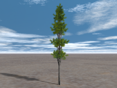 Cypress Tree Free 3D Models download - Free3D