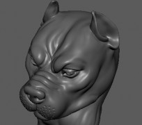 Pitbull Free 3D Model - .ma .obj - Free3D