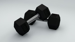 Dumbbell Free 3D Models download - Free3D