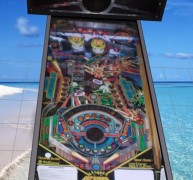 Defender - Pinball Machine Free 3D Model - .3ds - Free3D