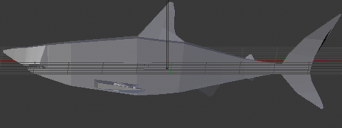 Rigged Shark Free 3D Model - .fbx - Free3D