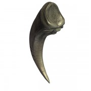 Claw Free 3D Models download - Free3D