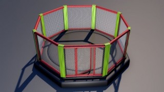 MMA ring Free 3D Model - .c4d - Free3D