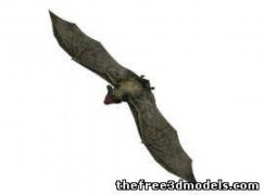 Bat Free 3D Models download - Free3D