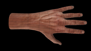 Rigged Hands Free 3D Model - .x3d .obj .fbx .dae .blend .3ds - Free3D