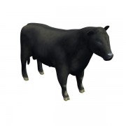 Angus Free 3D Models download - Free3D