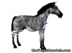 Zebra Free 3D Model - .3ds .obj .max .lwo .mtl .sldprt - Free3D