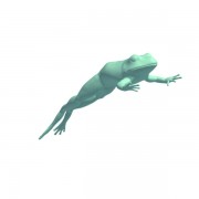 Frog Free 3D Models download - Free3D