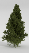 Realistic Trees Scene Free 3D Model - .blend - Free3D